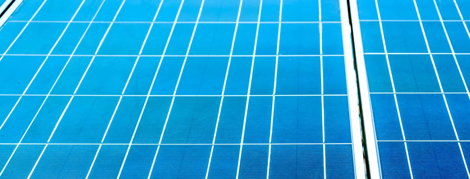 CheckPoint® Audit System - RegScan