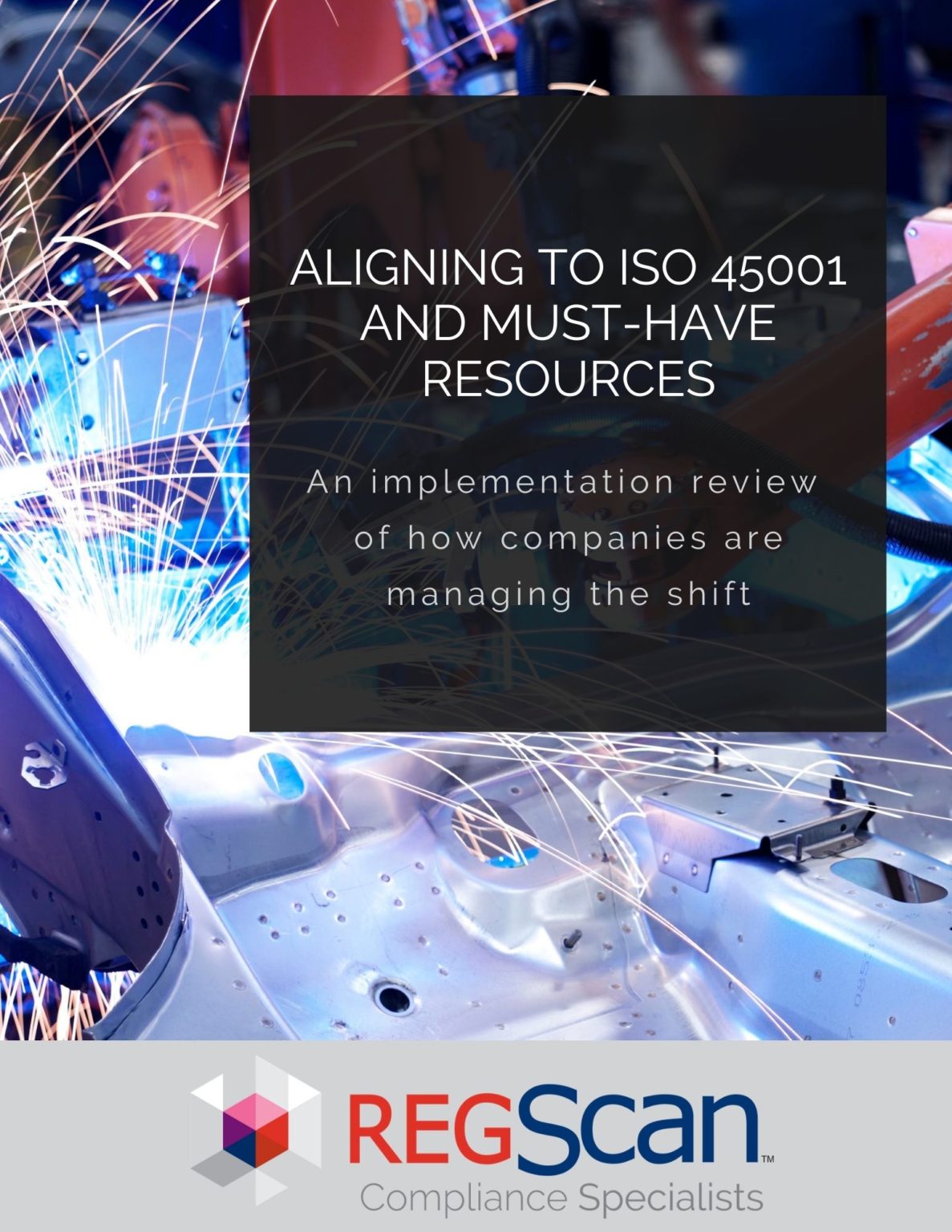 Aligning to ISO 45001 and Must-Have Resources - RegScan
