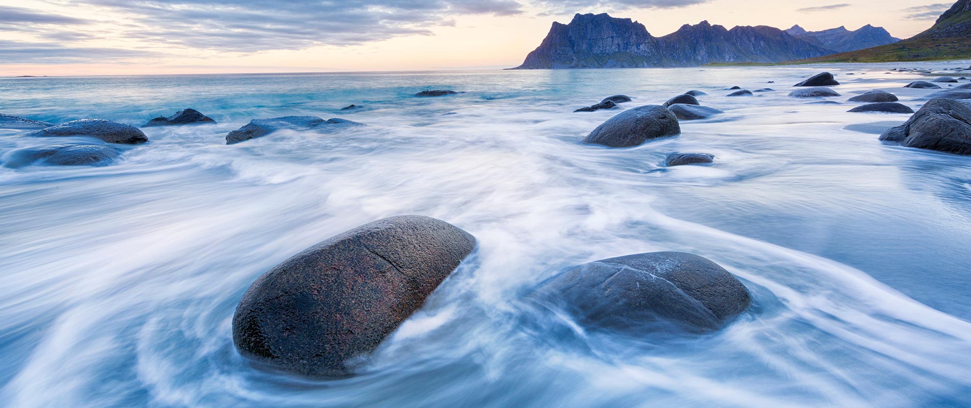 LookOut™ - RegScan