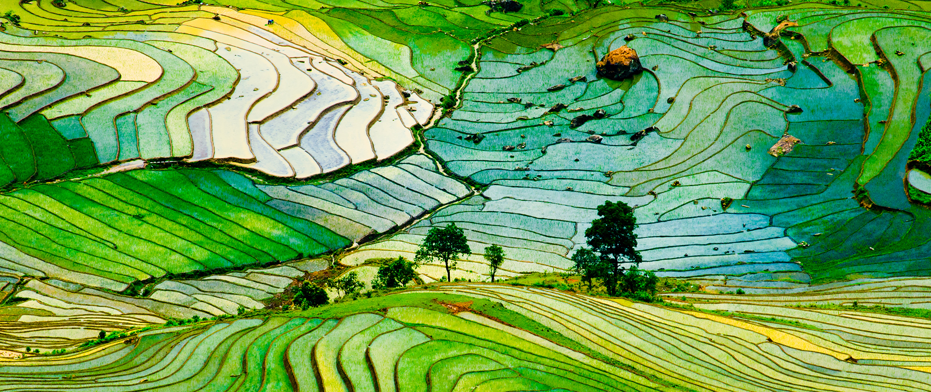 Prioritize risk and resources to enhance EHS compliance - RegScan